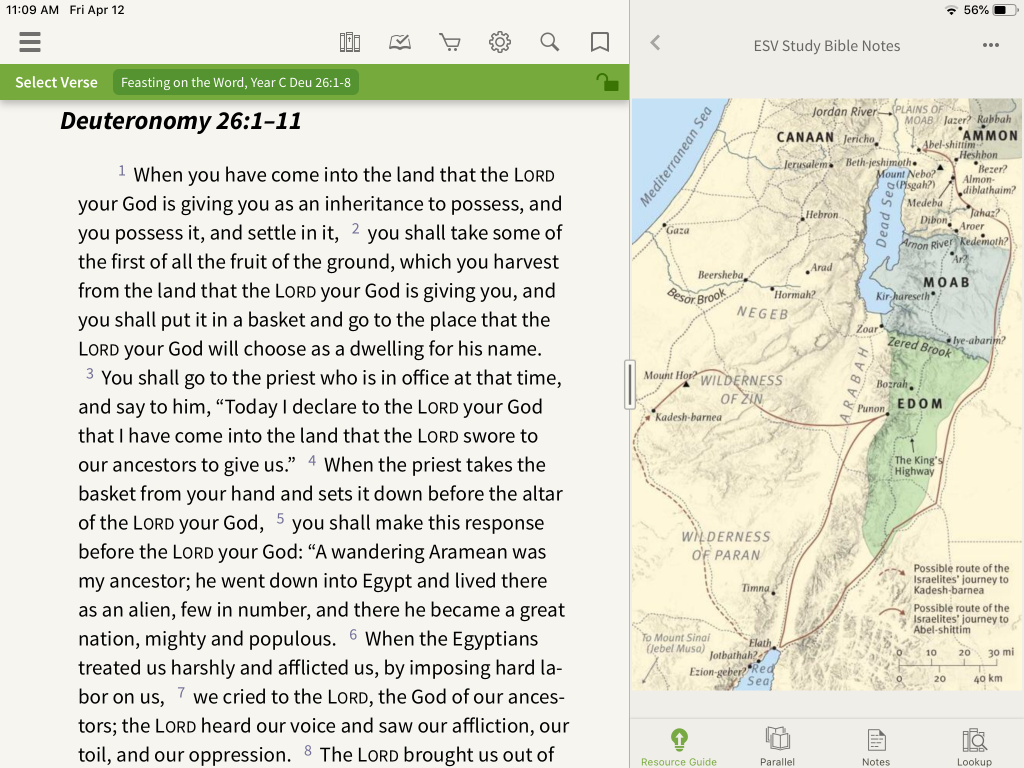 Look Inside: Feasting on the Word Commentary - Olive Tree Blog