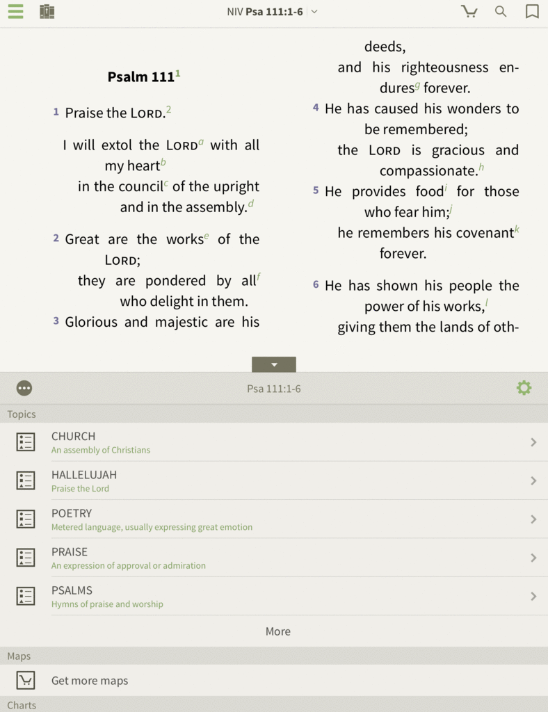 Bible_Dictionary_Blog1 - Olive Tree Blog