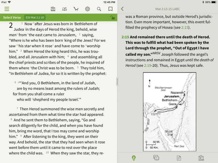 Look Inside: Life Application Bible Commentary - Olive Tree Blog