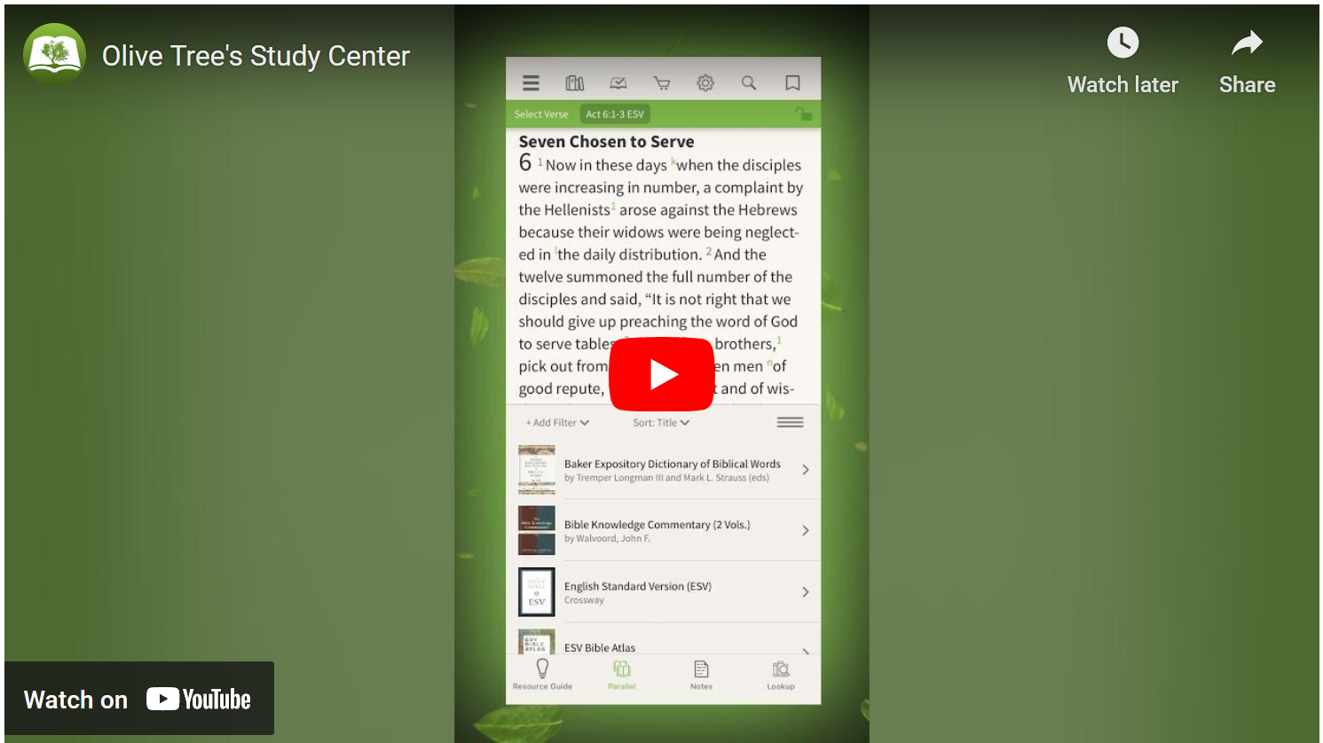 Study Center - Olive Tree Blog