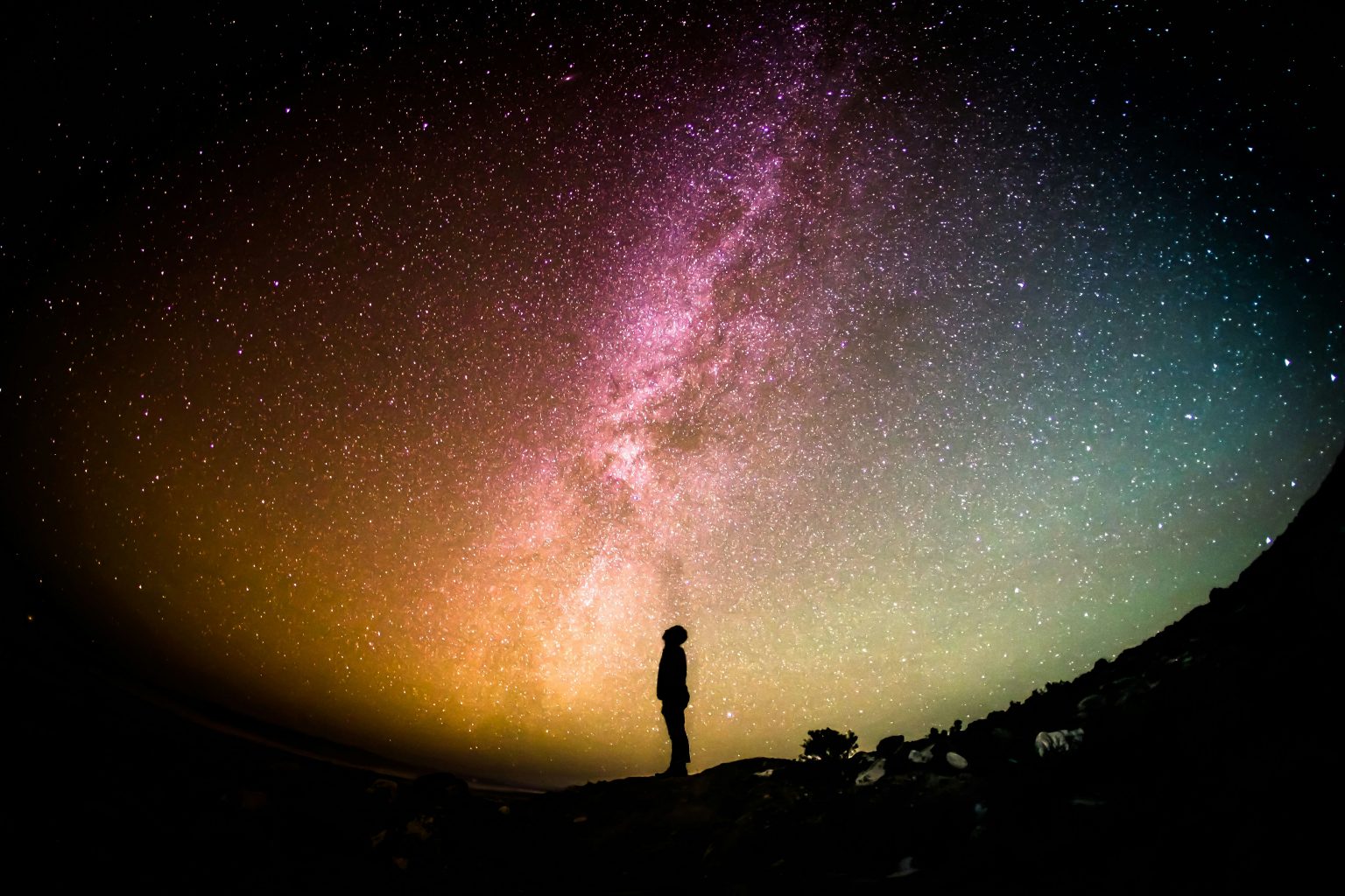 Abraham’s Faith in God - Olive Tree Blog